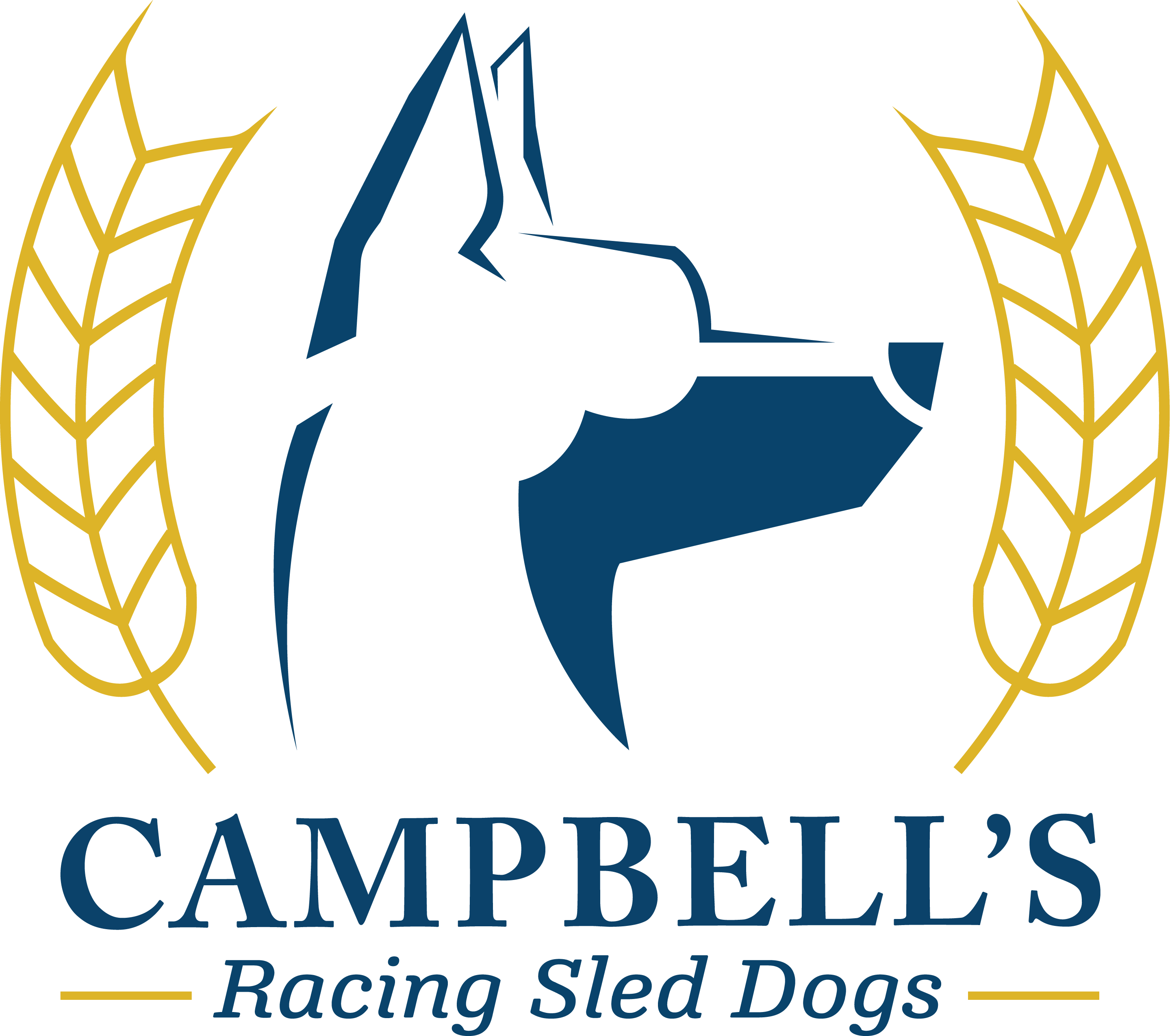 Sled Dog Tours – Campbell's Racing Sled Dogs
